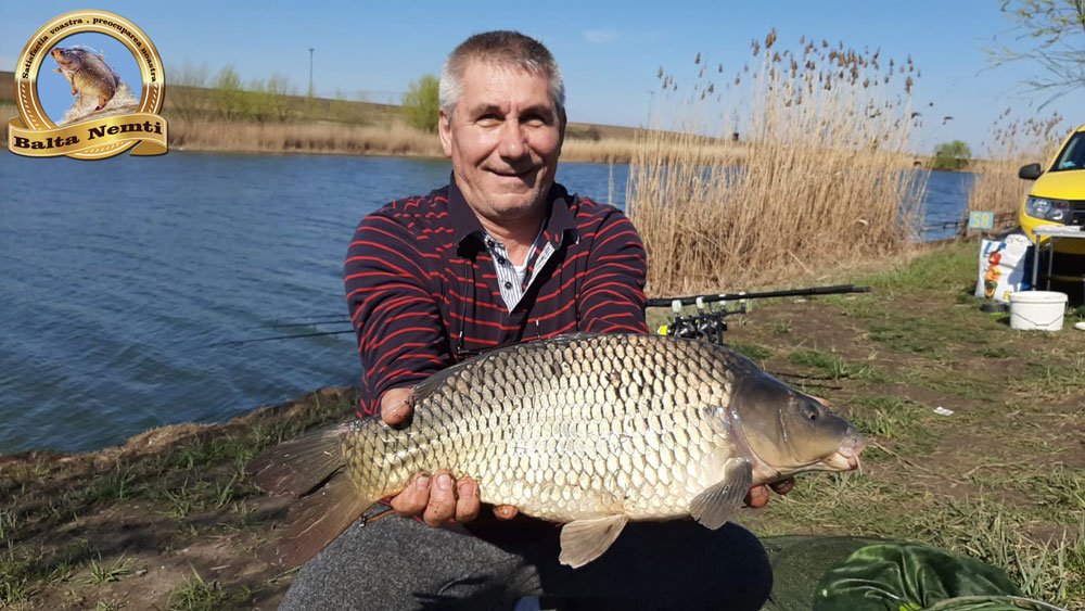 Alte capturi Nemti_1 | Complexul Piscicol Nemti